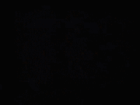 Hitcher GIFs - Get the best gif on GIFER