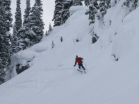 Alpine skiing GIFs - Get the best gif on GIFER