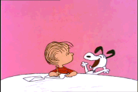 Linus GIFs - Get the best gif on GIFER