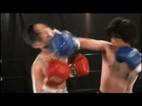 Boxing GIFs - Get the best gif on GIFER