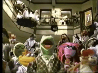 Muppets GIFs - Get the best gif on GIFER