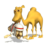 Camel GIFs - Get the best gif on GIFER