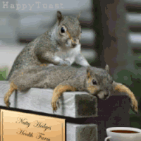 Scotsman GIFs - Get the best gif on GIFER