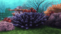 Coral GIFs - Get the best gif on GIFER