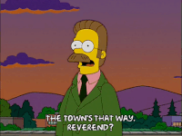 Flanders GIFs - Get the best gif on GIFER