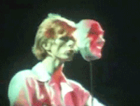 Thin GIFs - Get the best gif on GIFER