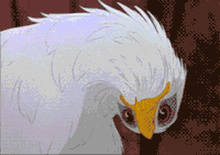 Eagle GIFs - Get the best gif on GIFER