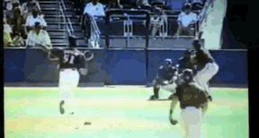 Randy johnson hitting a bird GIF - Conseguir o melhor gif em GIFER