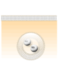 Cell GIFs - Get the best gif on GIFER