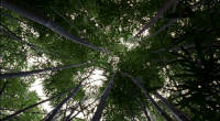 Wind GIFs - Get the best gif on GIFER