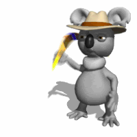 Coala GIFs - Get the best gif on GIFER