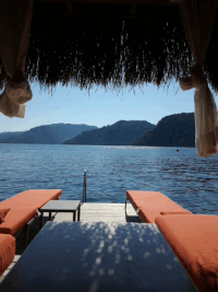 Vacation GIFs - Get the best gif on GIFER
