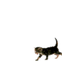 Snitching GIFs - Get the best gif on GIFER