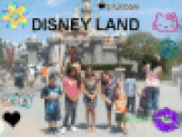 Florida GIFs - Get the best gif on GIFER