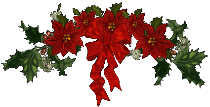 Poinsettia GIFs - Get the best gif on GIFER