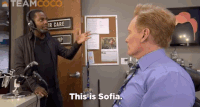 Koko GIFs - Get the best gif on GIFER