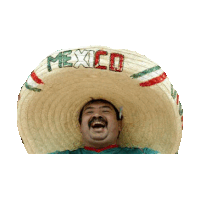 Mexicanos GIFs - Get the best gif on GIFER