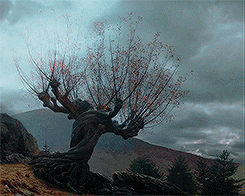 Firin GIFs - Get the best gif on GIFER