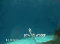 Prey GIFs - Get the best gif on GIFER