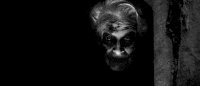 Scaring GIFs - Get the best gif on GIFER
