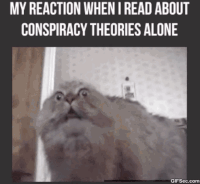 Conspiracy GIFs - Get the best gif on GIFER