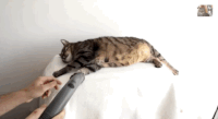 Vacuo GIFs - Get the best gif on GIFER
