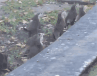 Overtime GIFs - Get the best gif on GIFER