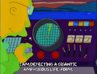 Scanning GIFs - Get the best gif on GIFER