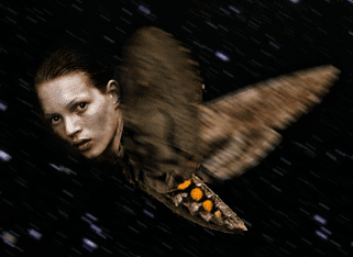 Mothkate GIFs - Get the best gif on GIFER