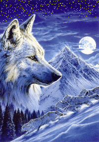 Wolf GIFs - Get the best gif on GIFER