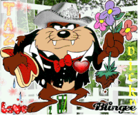 Taz GIFs - Get the best gif on GIFER