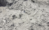 Mud GIFs - Get the best gif on GIFER
