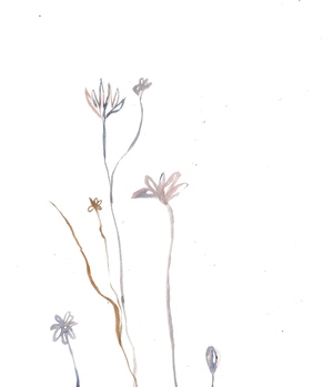 Dibujo GIFs - Get the best gif on GIFER