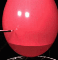 Water balloon GIFs - Get the best gif on GIFER