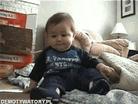 Rotfl GIFs - Get the best gif on GIFER