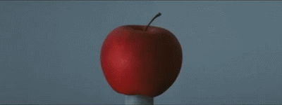 Rotting GIFs - Get the best gif on GIFER