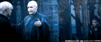 Peinlich GIFs - Get the best gif on GIFER