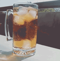Cider GIFs - Get the best gif on GIFER