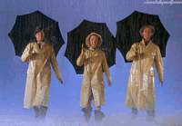 1952 GIFs - Get the best gif on GIFER