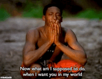 Lifetime GIFs - Get the best gif on GIFER