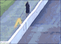 Sht GIFs - Get the best gif on GIFER