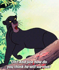 Bagheera GIFs - Get the best gif on GIFER