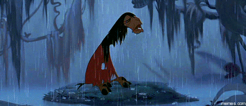 Lloro GIF - Conseguir el mejor gif en GIFER
