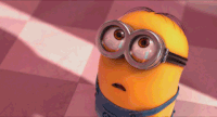 10000 GIFs - Get the best gif on GIFER