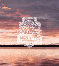 Gryffindor GIFs - Get the best gif on GIFER