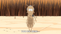 Lice GIFs - Get the best gif on GIFER