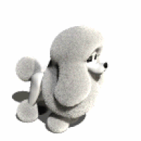 Poodle GIFs - Get the best gif on GIFER
