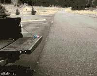 Kibbles GIFs - Get the best gif on GIFER