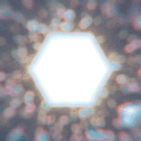 Focus GIFs - Get the best gif on GIFER