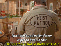 Malcolm in the middle hal GIF - Conseguir o melhor gif em GIFER